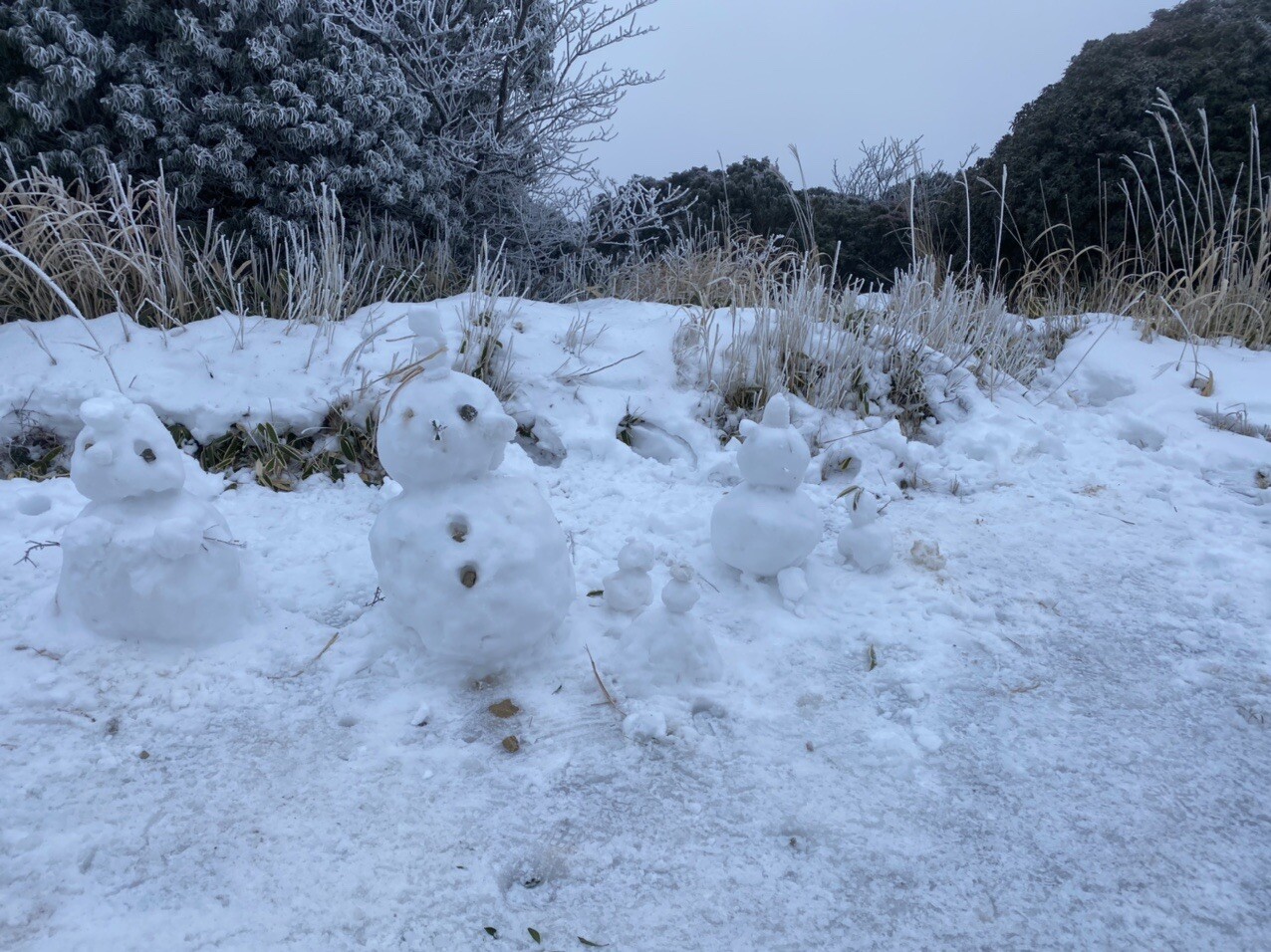 沓掛山・久住山 / soraさんの九重山（久住山）・大船山・星生山の活動日記 | YAMAP / ヤマップ