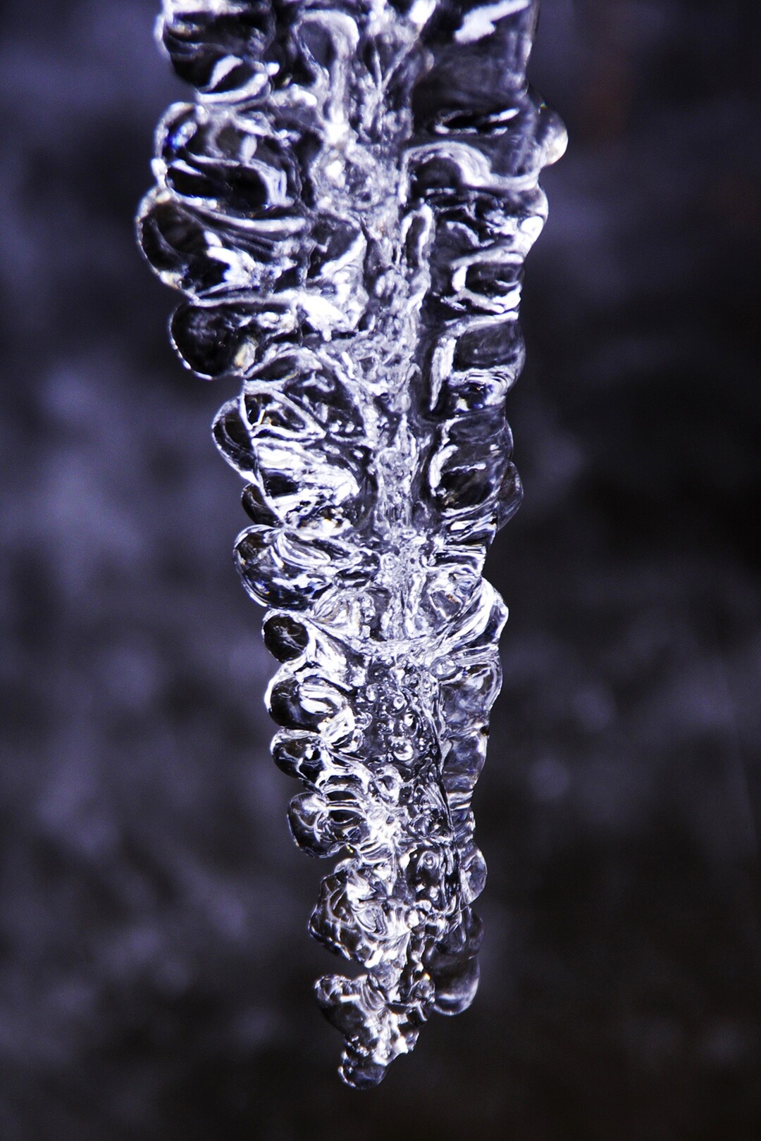 艶々でした。 / YUHYAさんのモーメント | YAMAP / ヤマップ