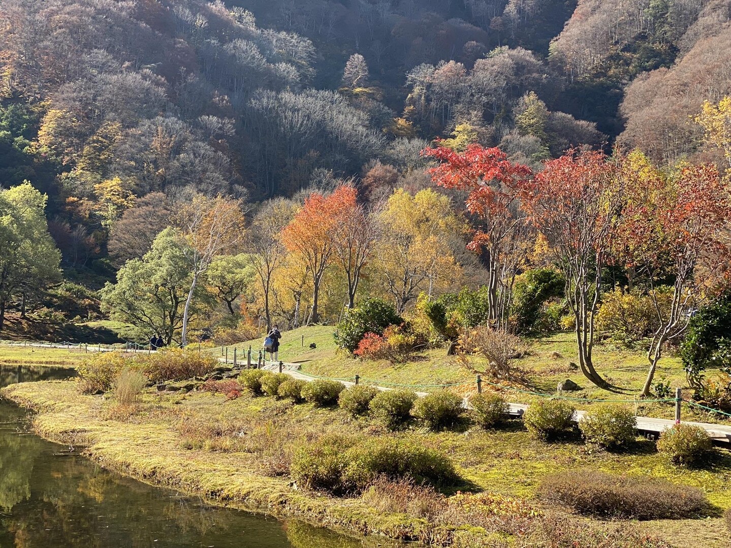 2022.11.6 紅葉ドライブ🍁 湯... / yumiさんのモーメント | YAMAP / ヤマップ