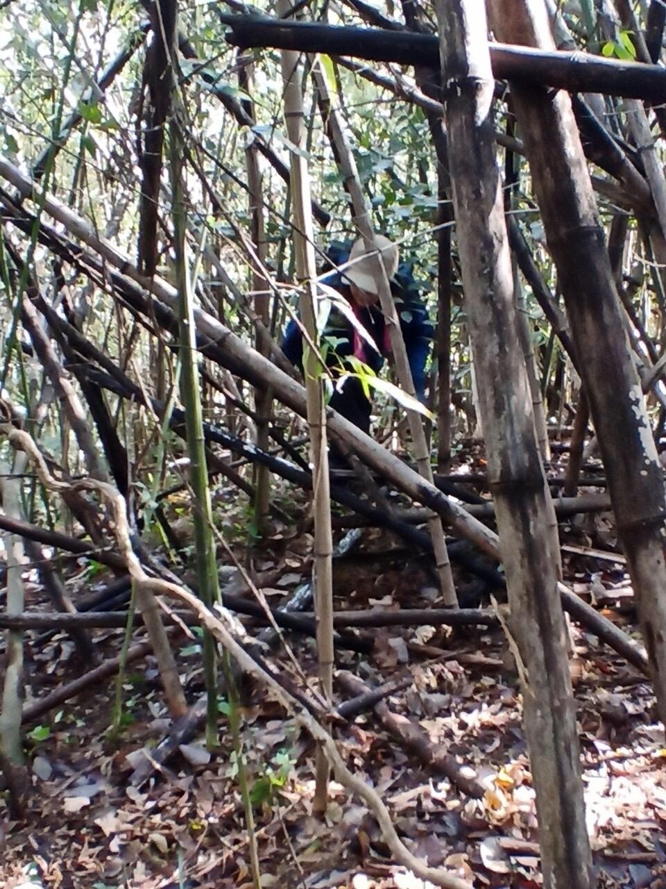 謎のトライアングル？💕高山・笹山・野添山 / レイさんの白山・大岳・雄岳の活動日記 | YAMAP / ヤマップ
