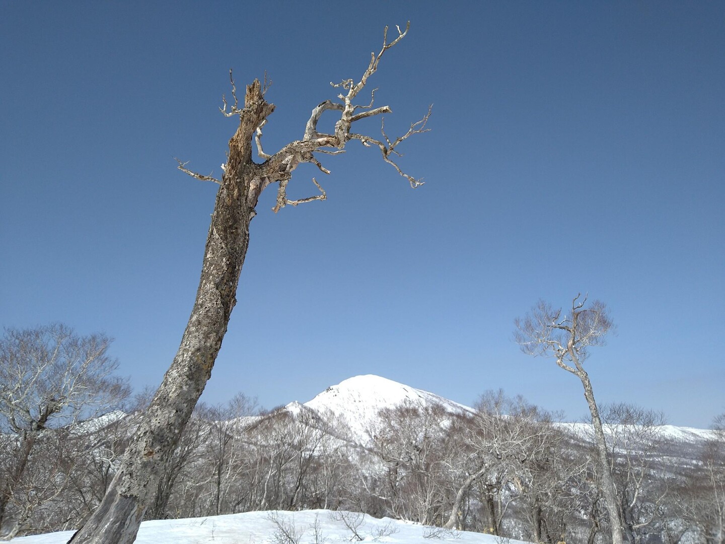 加車山 / hirohiroさんのオロフレ山・来馬岳の活動データ | YAMAP / ヤマップ