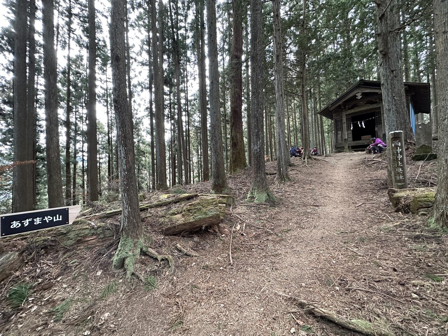 悠汰さんの投稿したフィールドメモ | YAMAP / ヤマップ