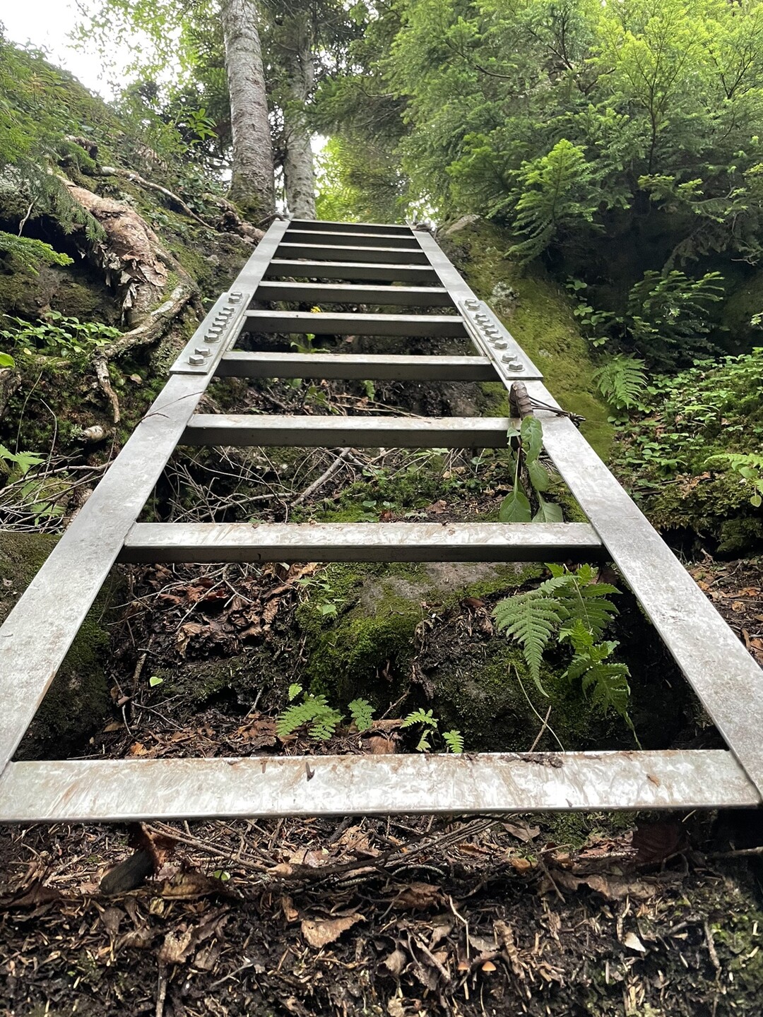 yuccoさんの投稿したフィールドメモ | YAMAP / ヤマップ