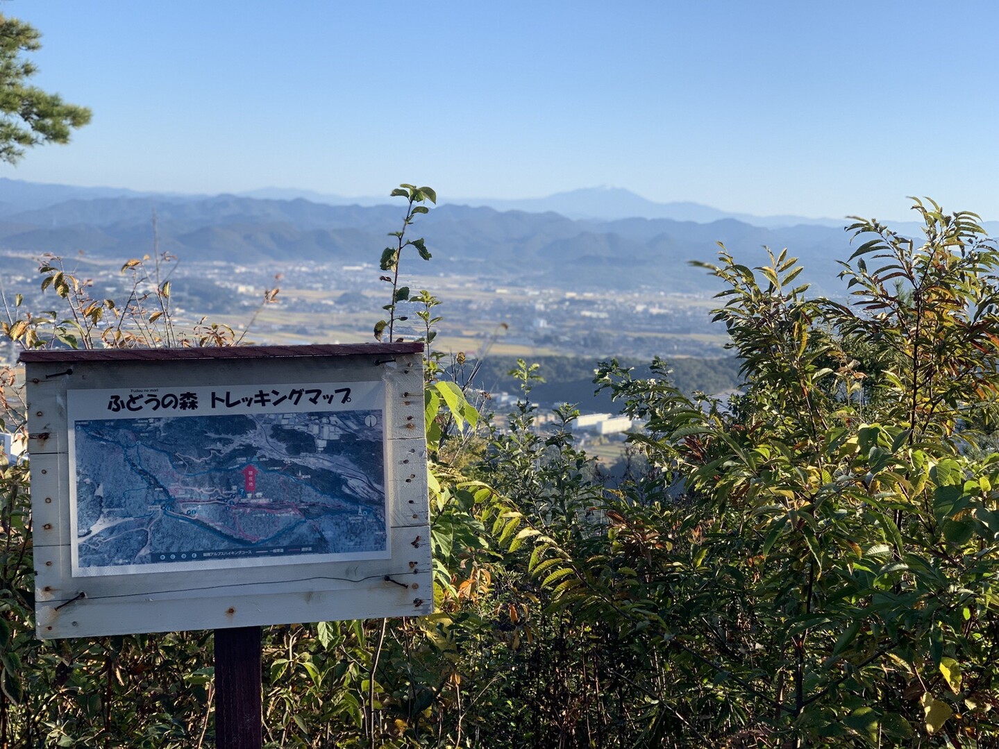 天狗谷〜迫間不動まで朝トレ💨金山・迫間山 / Y45Uさんの各務原アルプス・八木三山の活動データ | YAMAP / ヤマップ