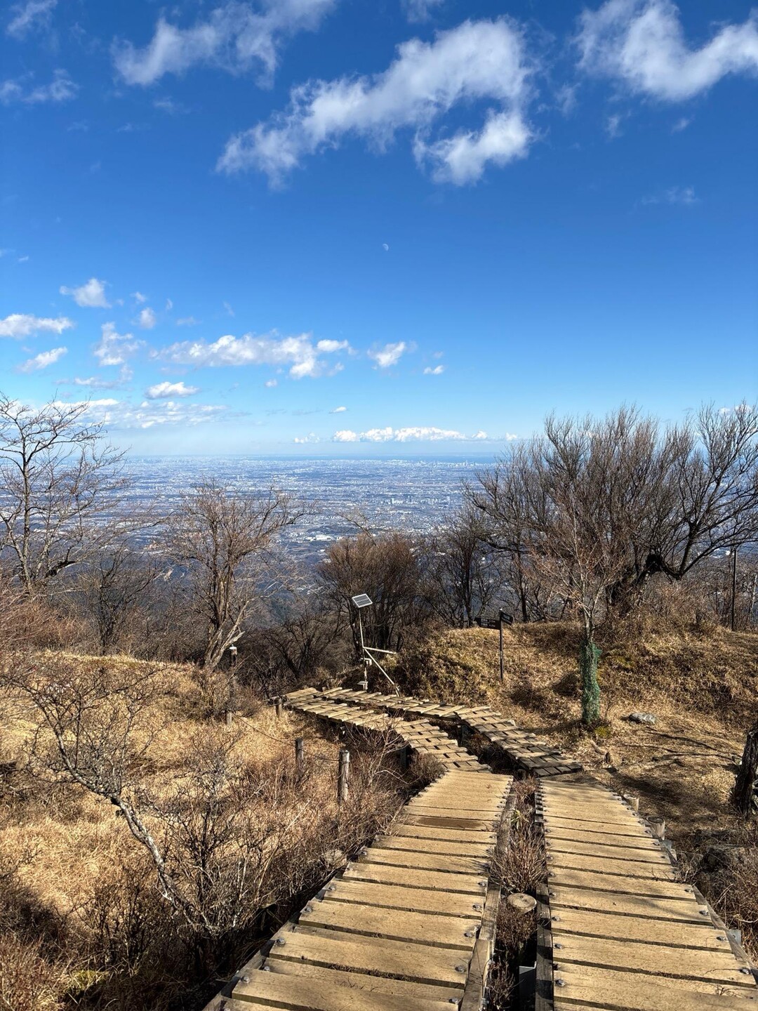 2025年登り始め 冬の大山🏔️ 続... / タズちゃん🌻さんのモーメント | YAMAP / ヤマップ