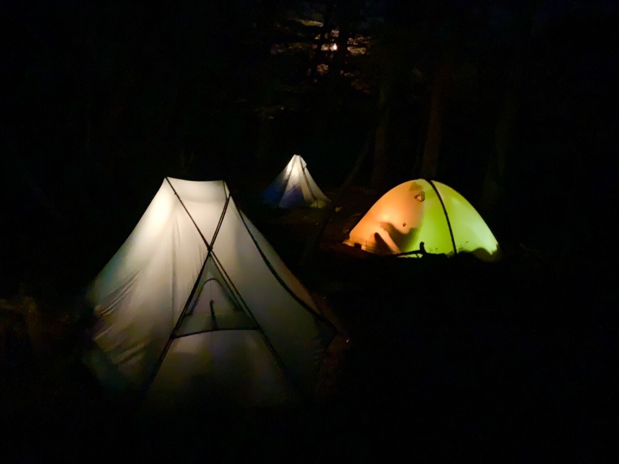 大崩山 テント泊 / masaroyさんの大崩山・五葉岳・新百姓山の活動データ | YAMAP / ヤマップ
