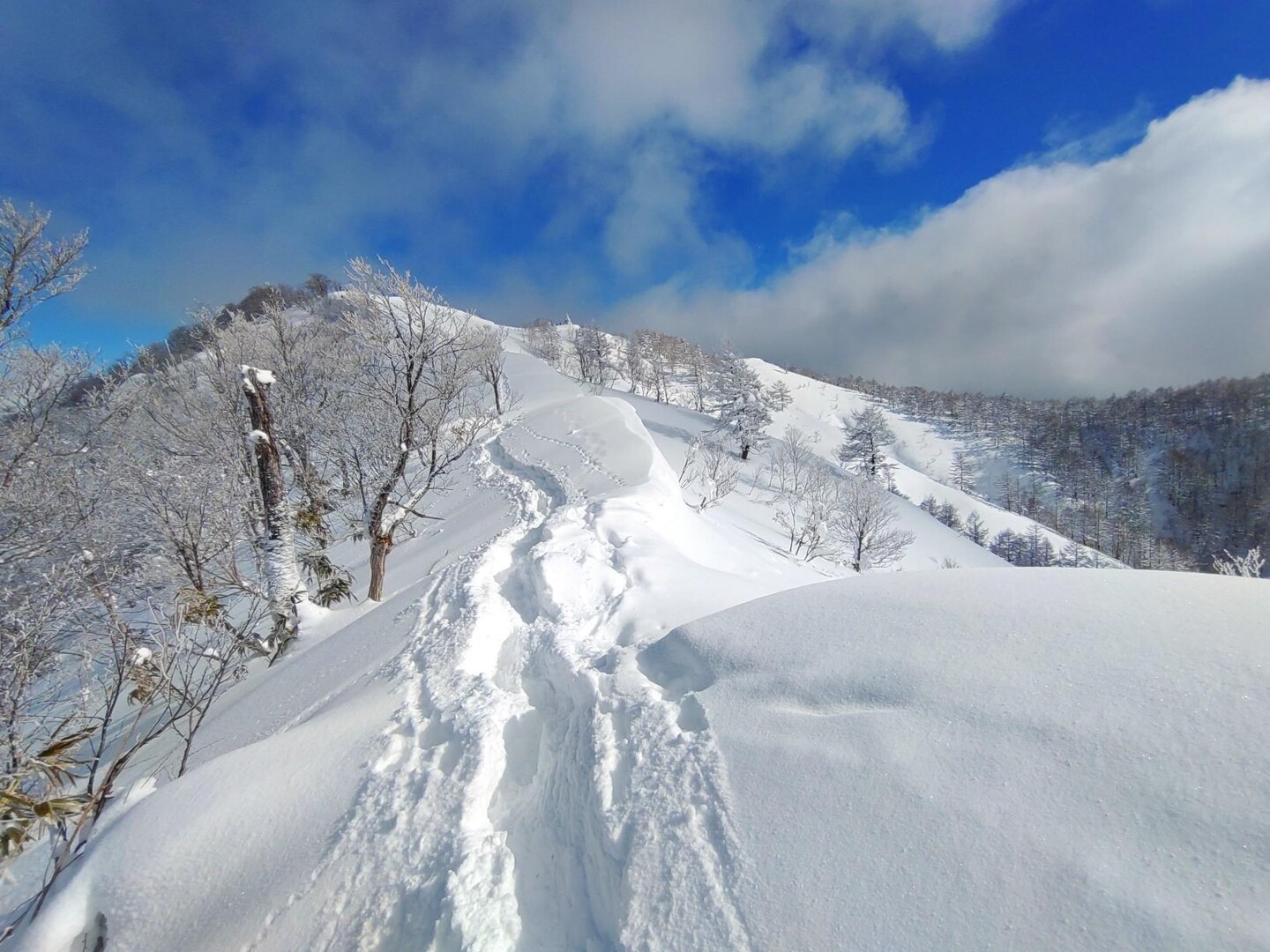 猪臥山 / hsysさんの猪臥山の活動データ | YAMAP / ヤマップ