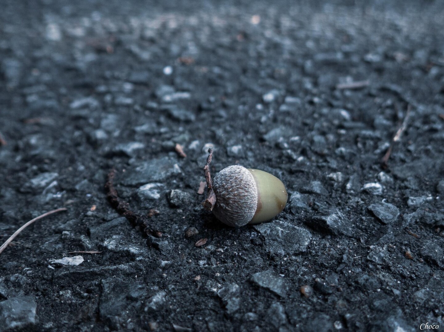 八つ時 / chocoさんの宝満山・三郡山・若杉山の活動データ | YAMAP / ヤマップ