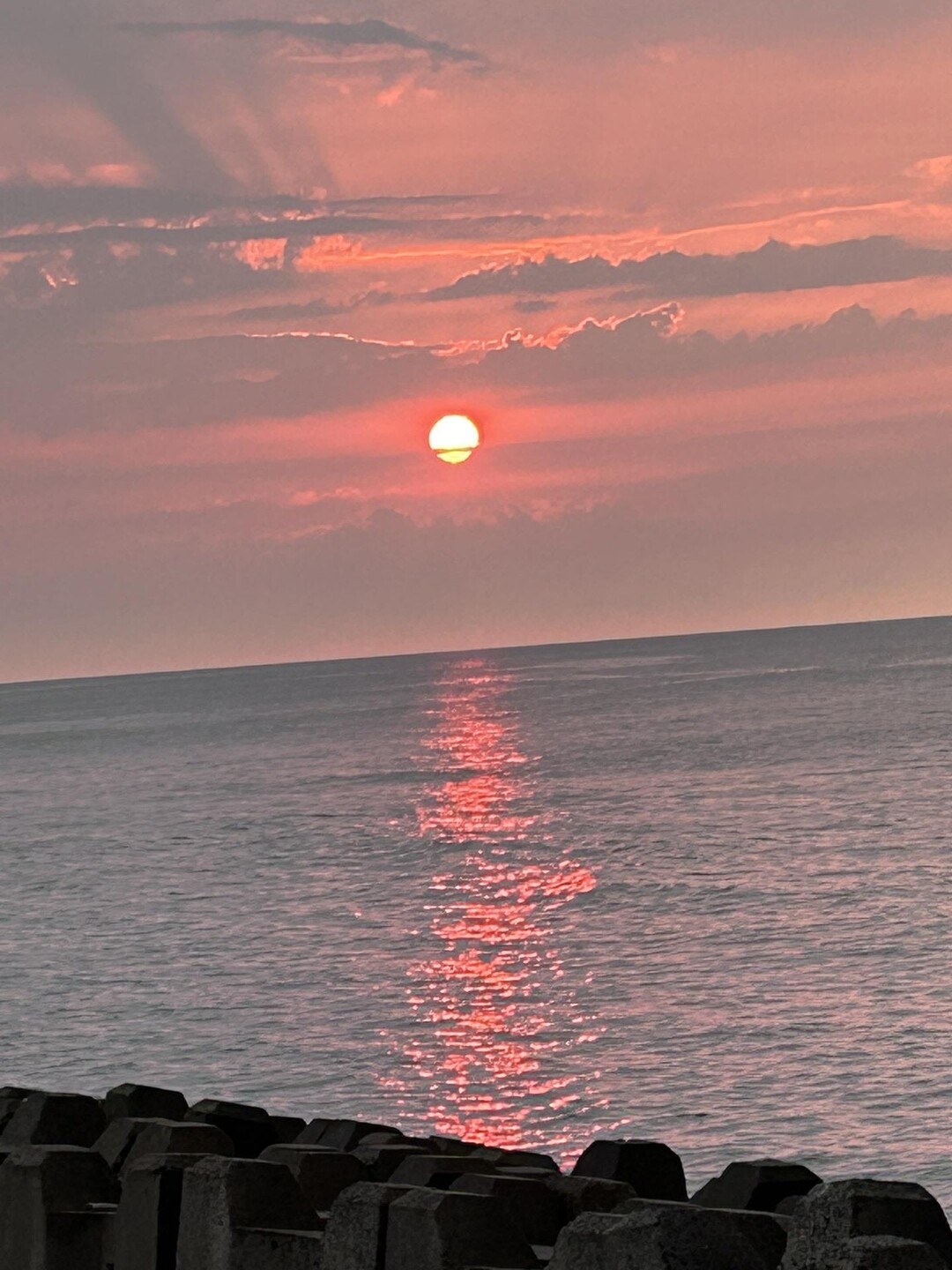 💠水無月💠 自宅裏の海岸にて🚶‍♀... / 💖🐰Roco🐰💖さんのモーメント | YAMAP / ヤマップ