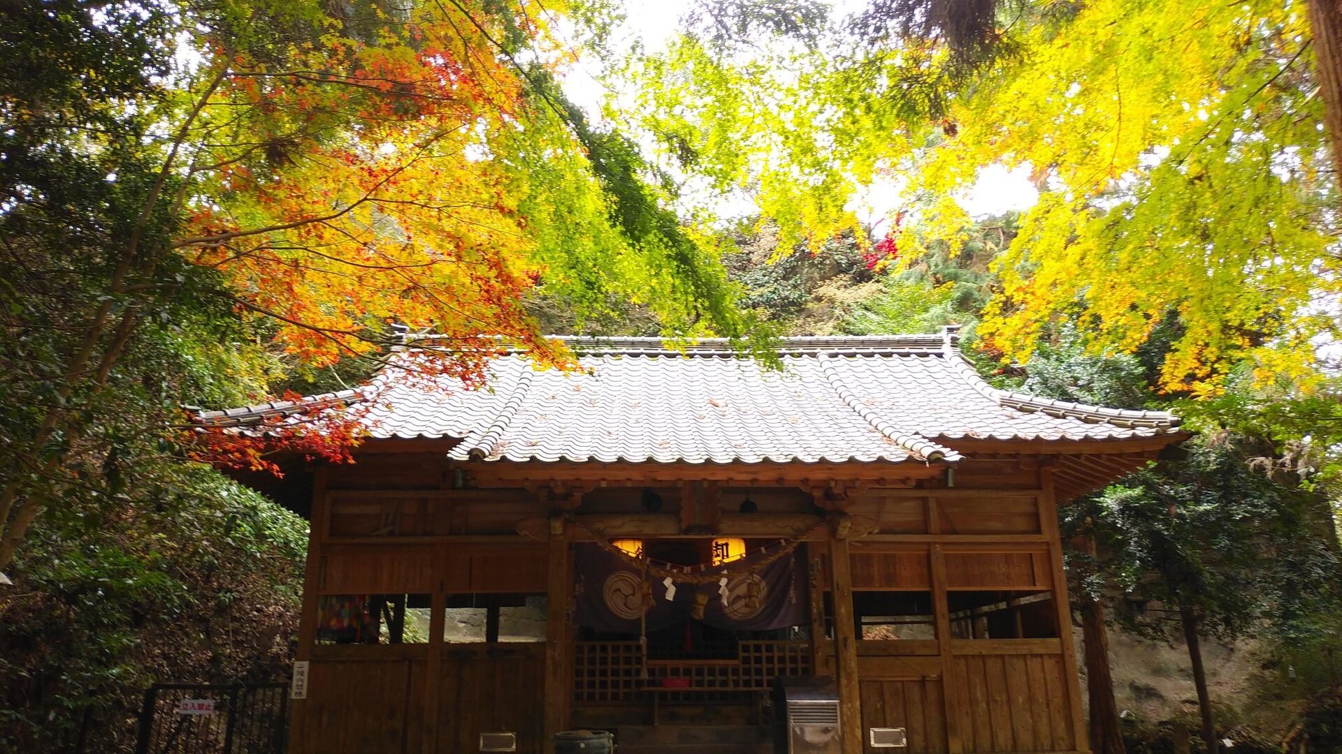 ⛓️田原山(鋸山)＆T1ロングトレイル＆周回コース🤗 / TOMOさんの六郷満山（国東半島）の活動データ | YAMAP / ヤマップ