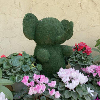 satochanのページ | YAMAP / ヤマップ