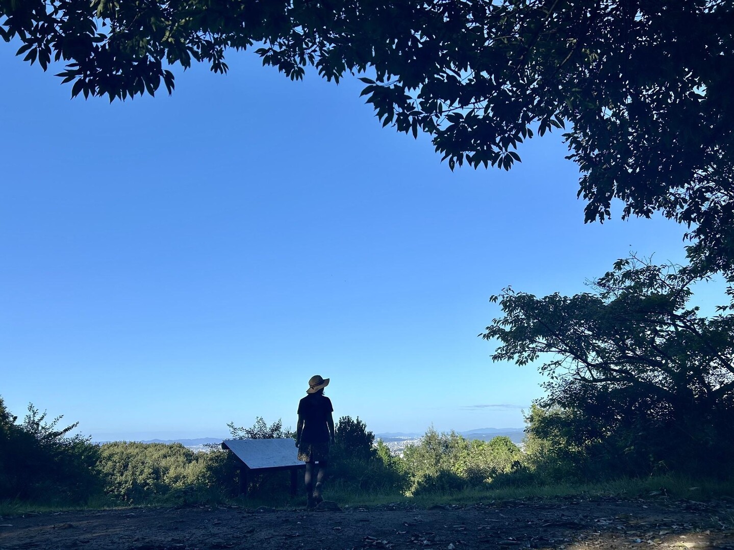 龍ノ口山 / coco☺︎さんの龍ノ口山の活動データ | YAMAP / ヤマップ