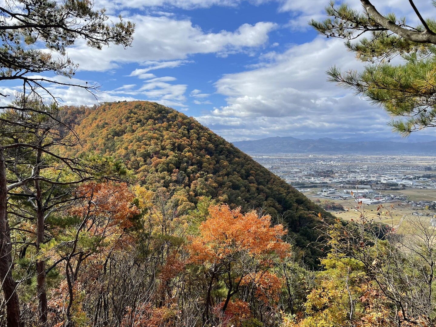 小菰石山・大岡山 / Kuさんの大岡山・小菰石山の活動データ | YAMAP / ヤマップ