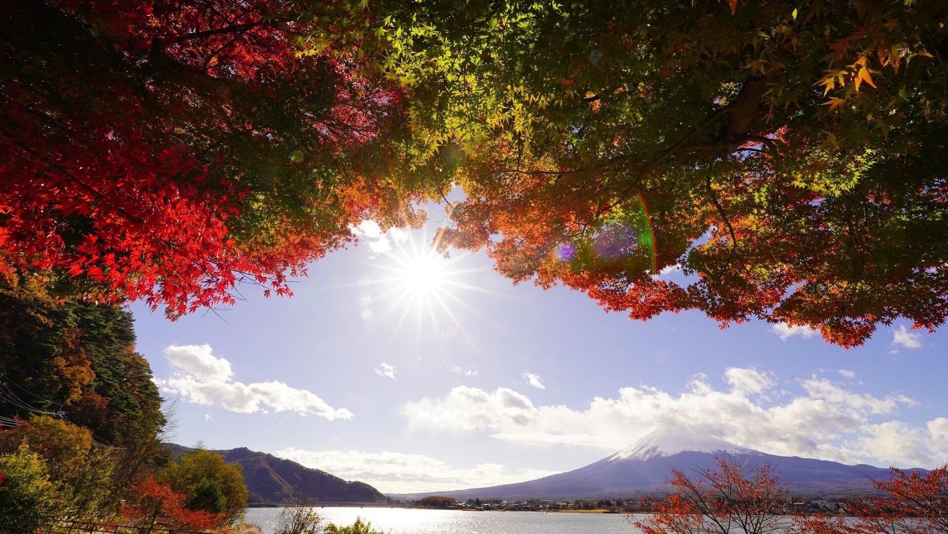 ウォーキング-2023-11-18 / uchidamaさんのウォーキングの活動データ | YAMAP / ヤマップ