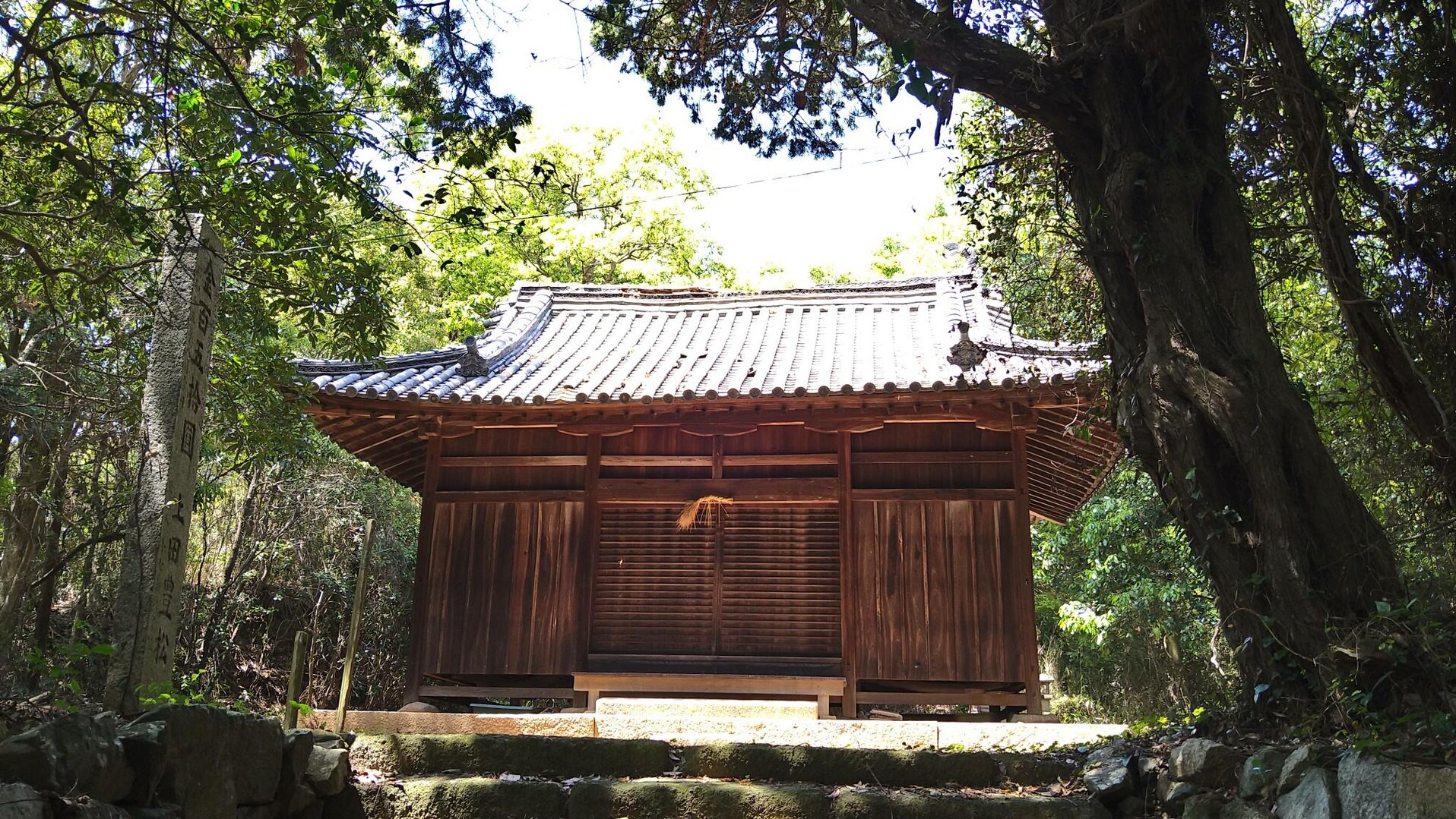 Mixさんの投稿したフィールドメモ | YAMAP / ヤマップ