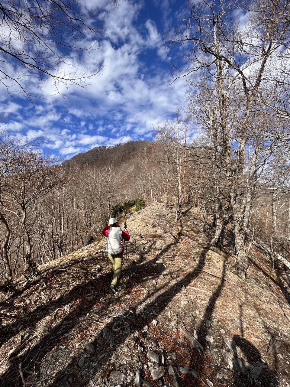 meeのページ | YAMAP / ヤマップ