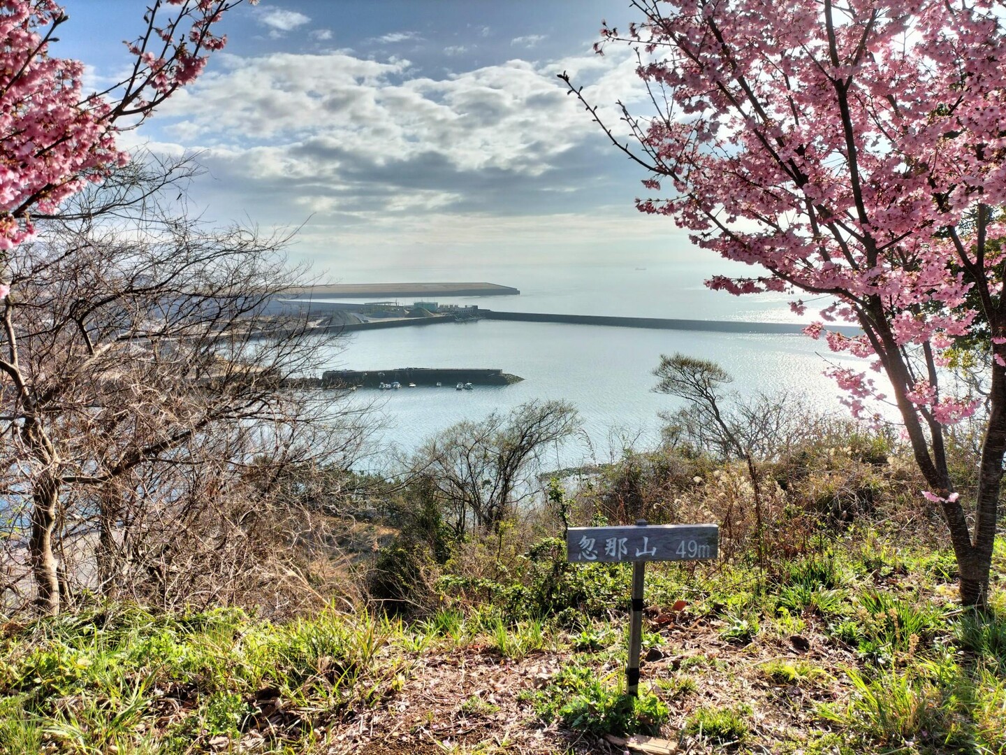 【WBC優勝記念ジョギング登山‼️👍〜低山と言えど侮れ無き魅力〜】 / 和田実規さんの松山市（南エリア）の活動データ | YAMAP / ヤマップ