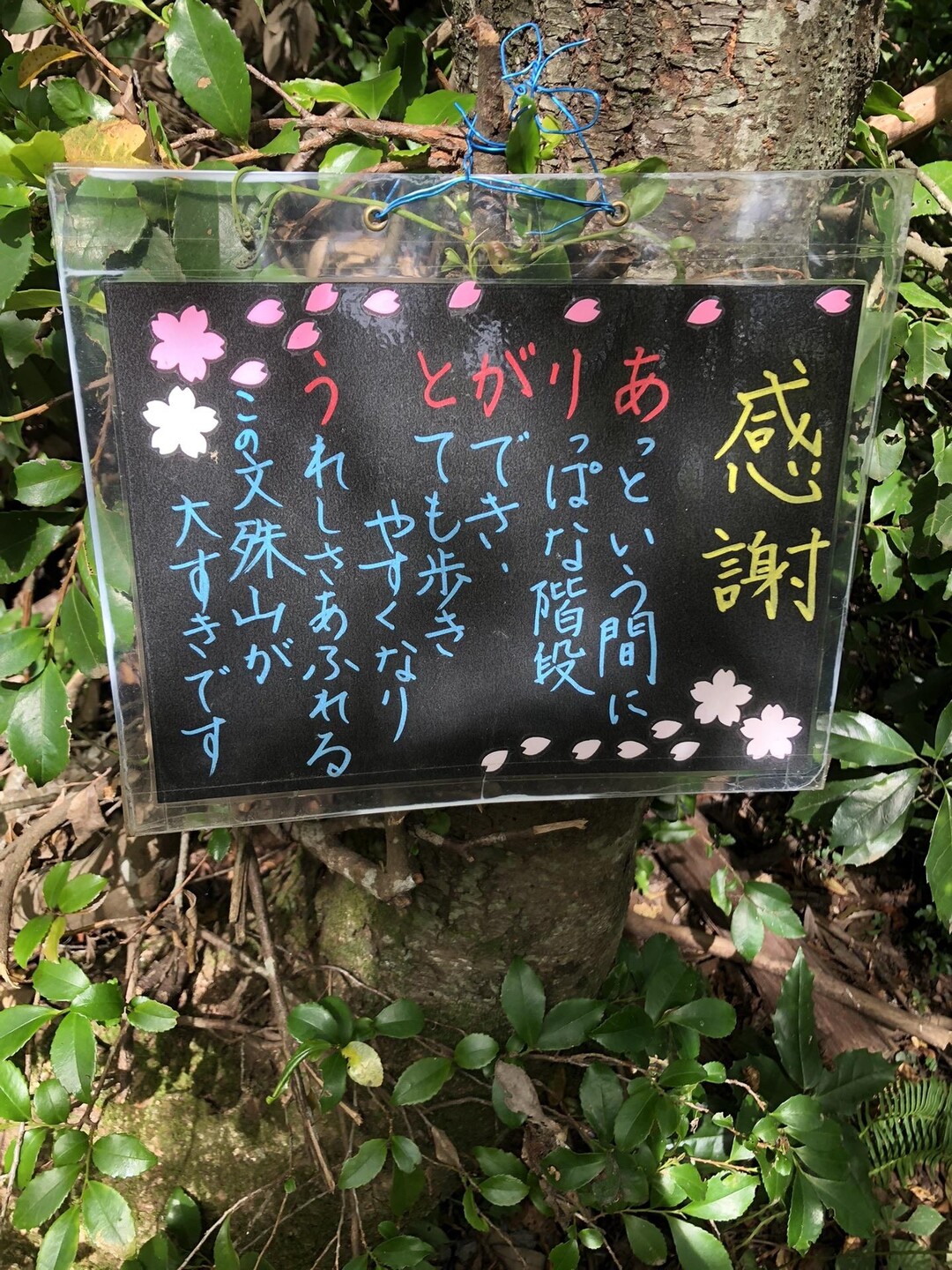 文殊山 / YMDさんの文殊山の活動データ | YAMAP / ヤマップ