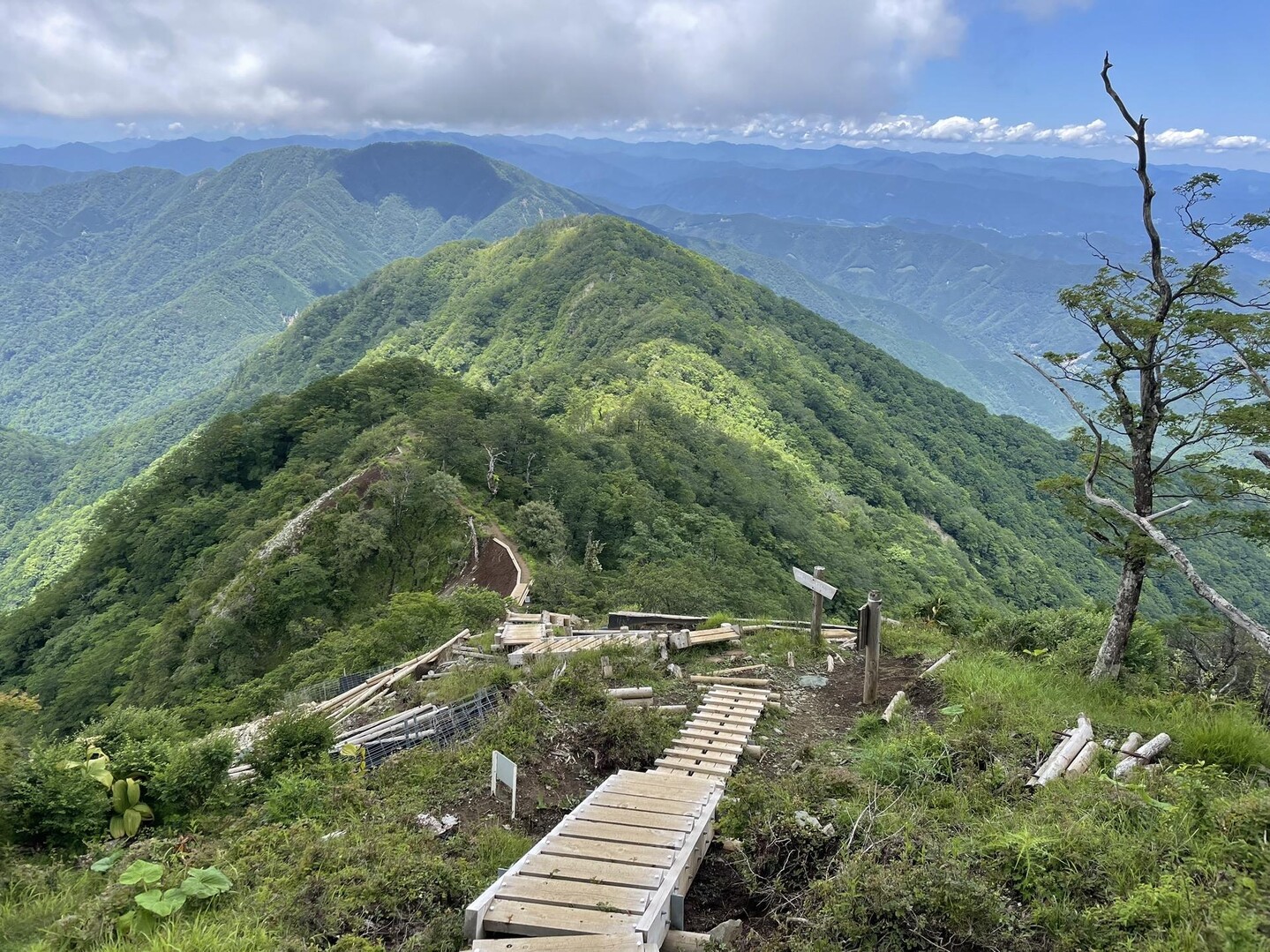 急きょ予定変更・西丹沢VC〜檜洞丸〜犬越路〜西丹沢VC / ike320さんの塔ノ岳・丹沢山・蛭ヶ岳の活動データ | YAMAP / ヤマップ