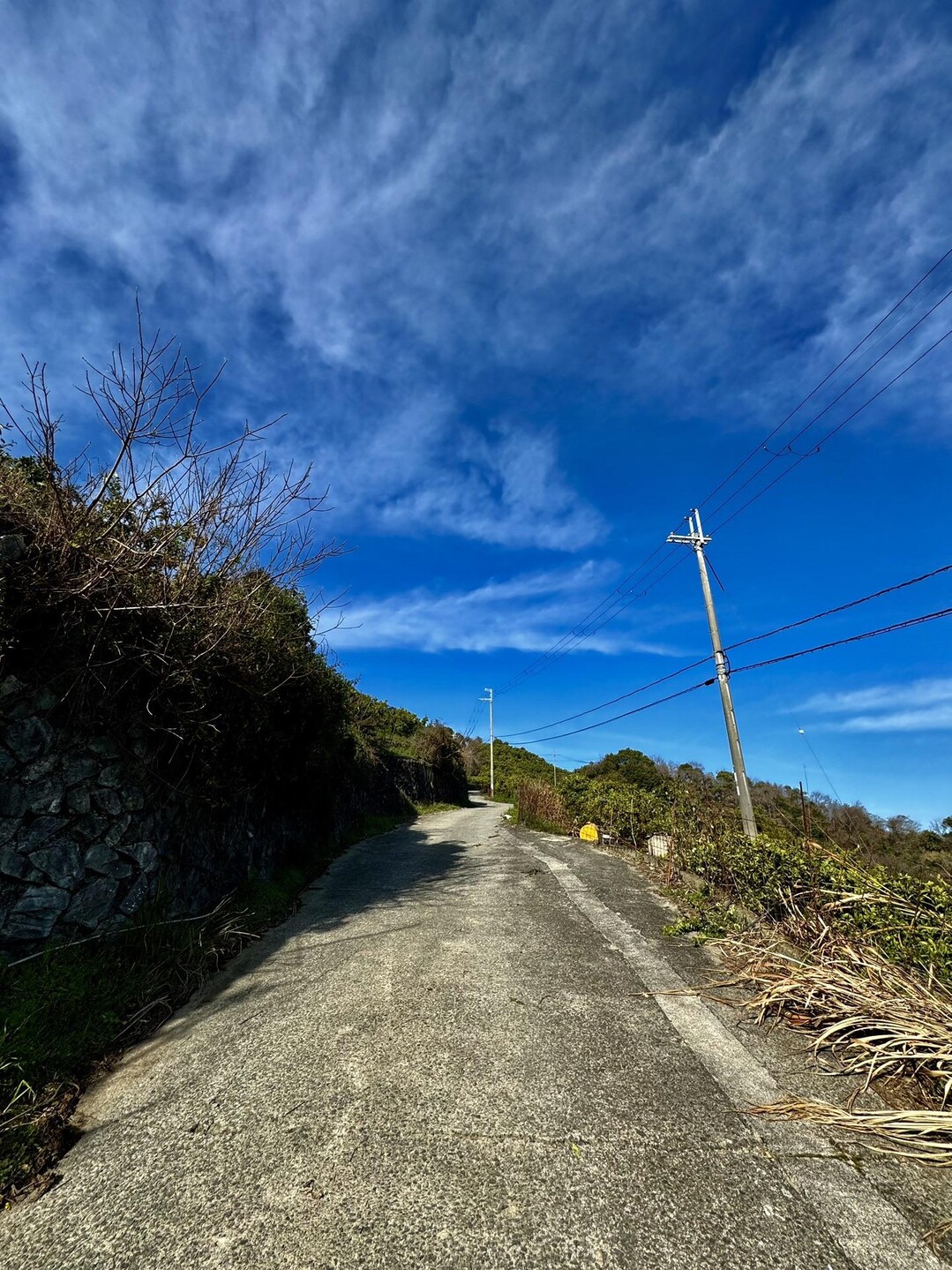 葛城修験第七経塚 兎に角坂エグいてっ！！ / ほの＆ひろ&BPさんの葛城修験エリアマップ（友ヶ島～和泉山脈周辺）の活動データ | YAMAP / ヤマップ