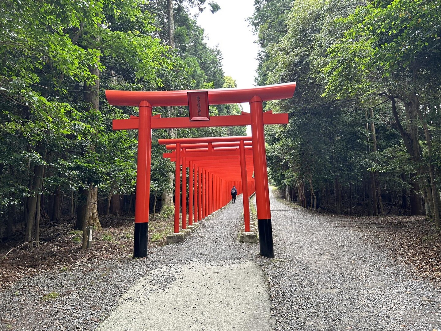 南宮山・象鼻山-2023-06-06 / minaさんの南宮山・象鼻山の活動データ | YAMAP / ヤマップ
