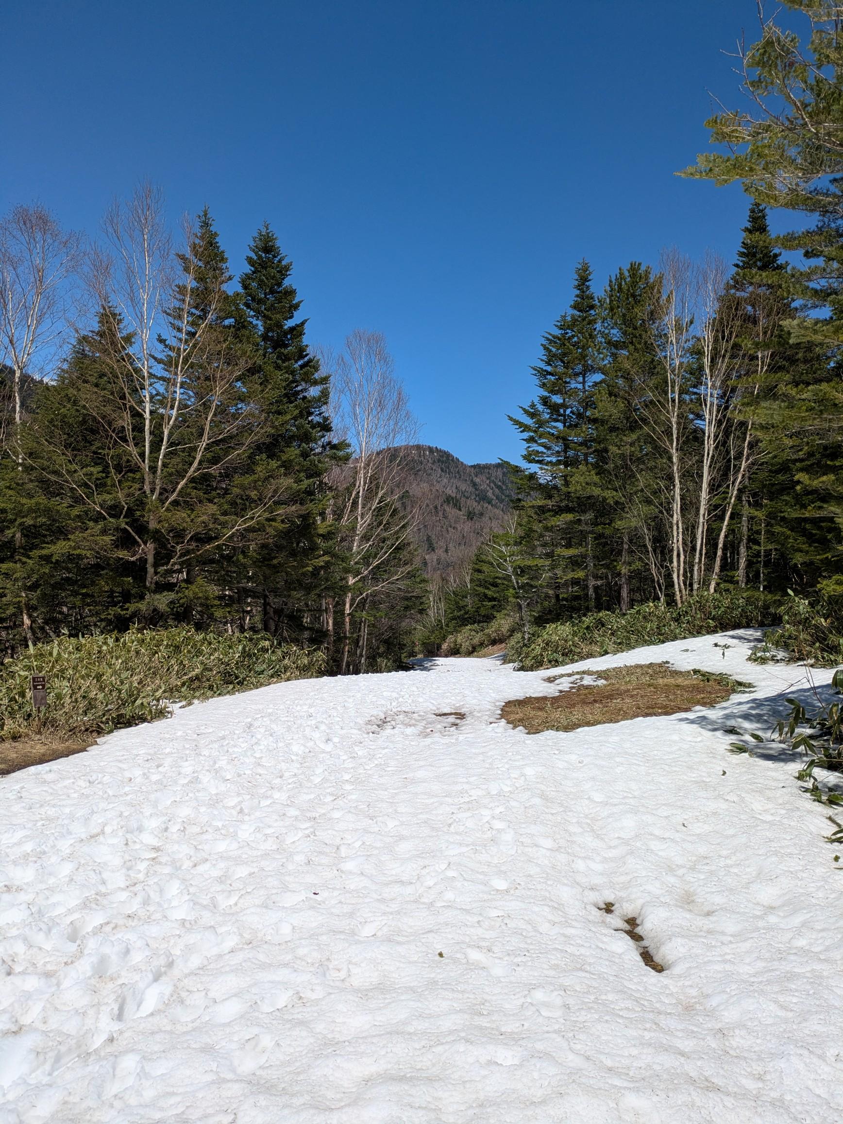 乗鞍高原 日本の滝百選・三本滝コース / akkiさんのウォーキングの活動データ | YAMAP / ヤマップ