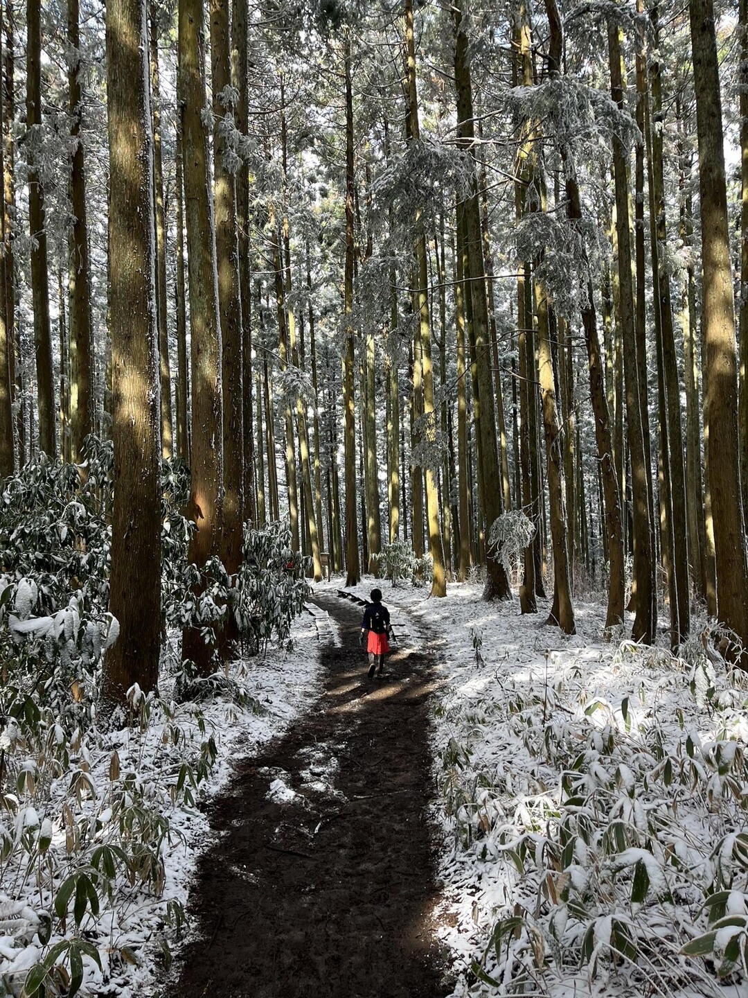 陣馬山（高尾山口駅〜） / 山と飯 U.L.HIKEさんの宮島（厳島）・弥山の活動データ | YAMAP / ヤマップ