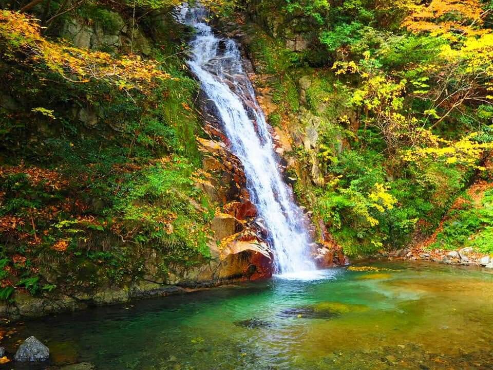 竜ヶ岳 / zen sugiさんの竜ヶ岳の活動データ | YAMAP / ヤマップ