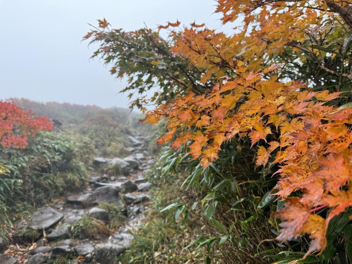 ガスのち晴れの月山 / saiさんの月山の活動データ | YAMAP / ヤマップ
