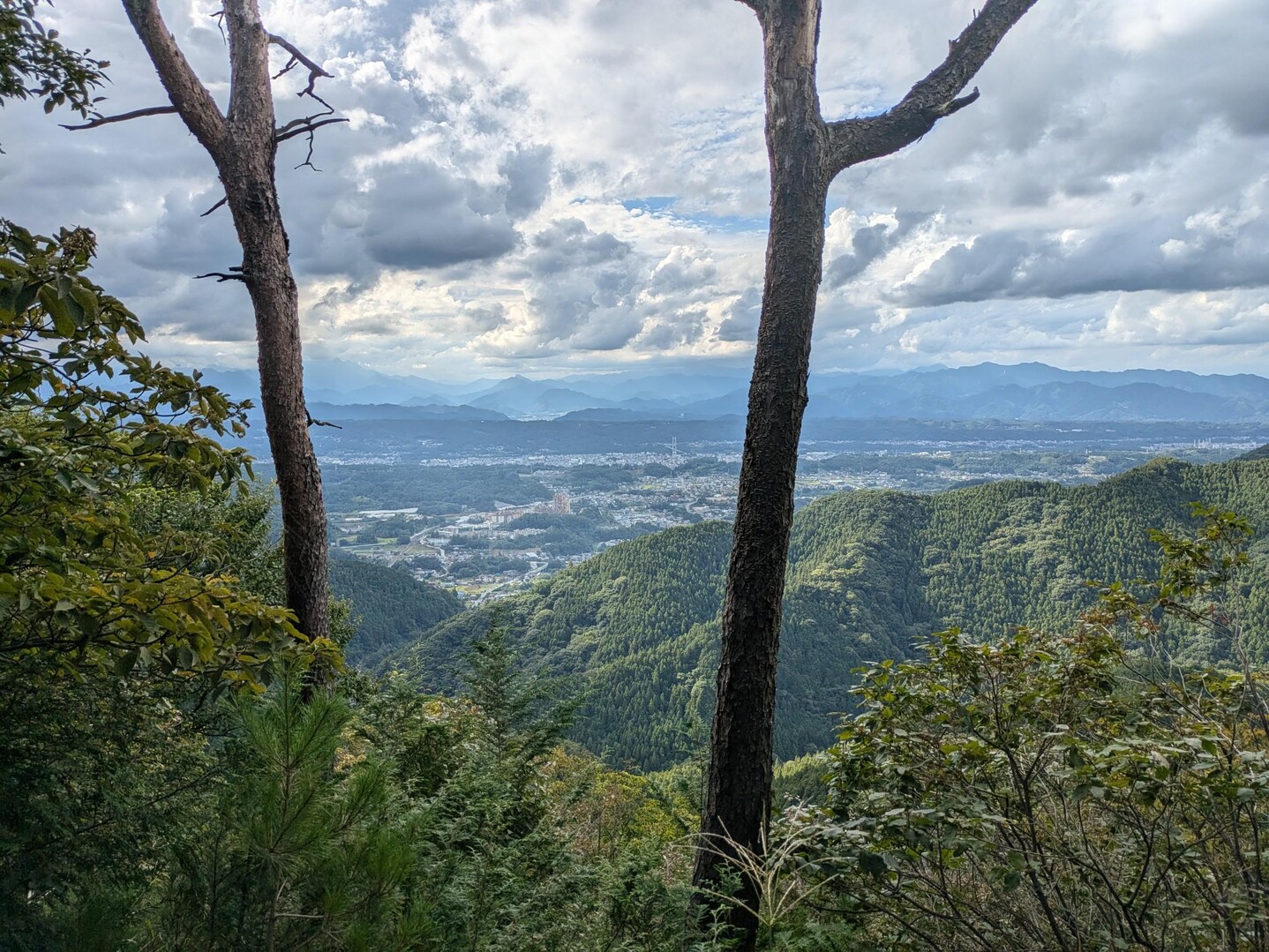 伊豆ヶ岳から武川岳、二子山 / oka_nobさんの武甲山・伊豆ヶ岳・小持山の活動データ | YAMAP / ヤマップ