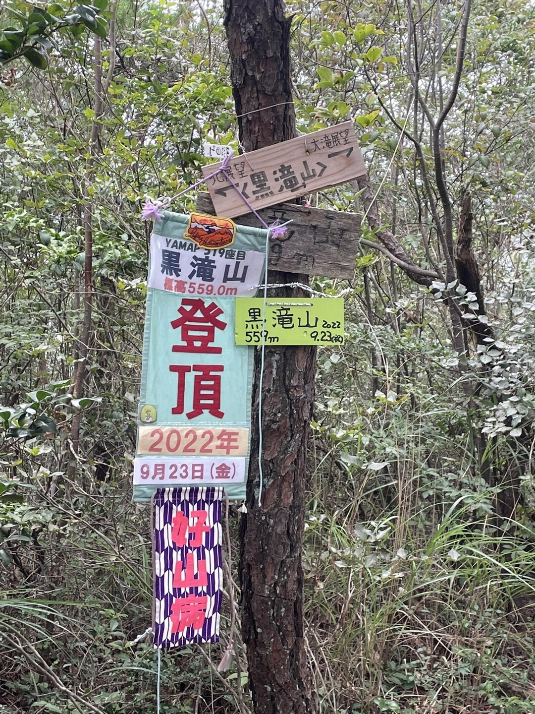 黒滝山 / JBT会員番号5さんの白滝山・大師山の活動データ | YAMAP / ヤマップ