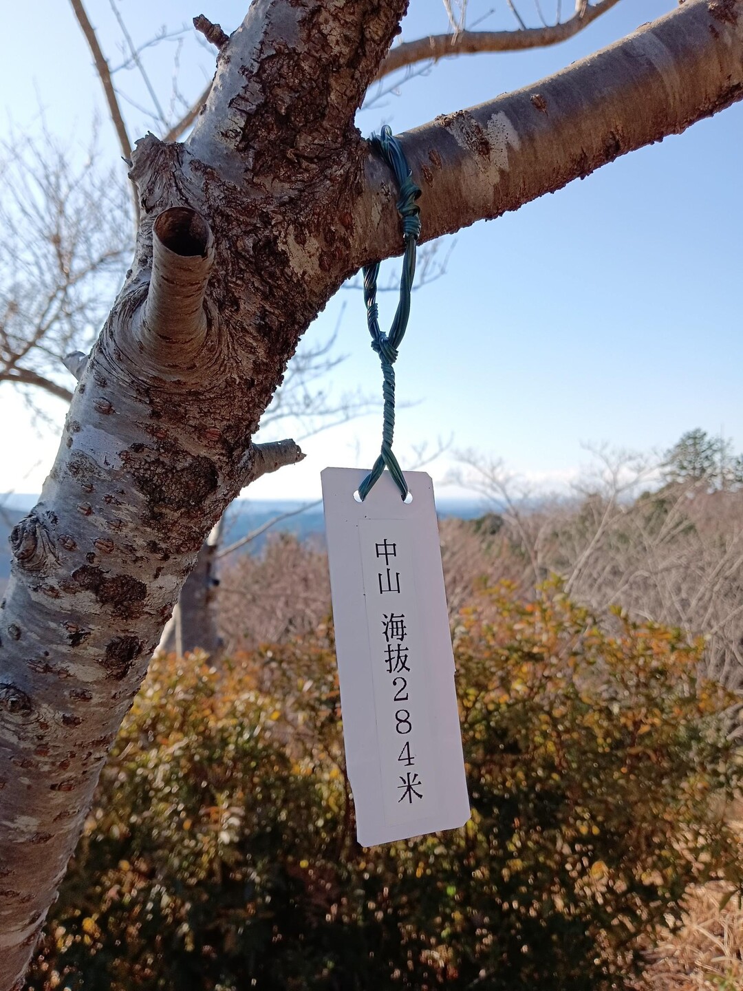 中山・元大尾山 / k54さんの八高山・神尾山・大尾山の活動データ | YAMAP / ヤマップ