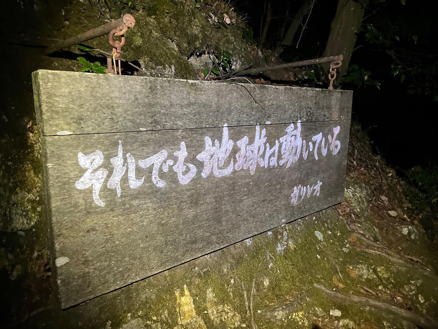 2024年🐲 First Mt.Kinka⛰ / ヨッシーさんの金華山・洞山・舟伏山の活動データ | YAMAP / ヤマップ