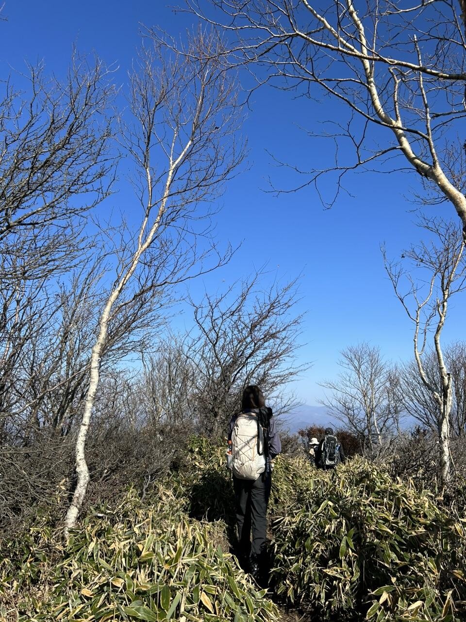 Miyuのページ | YAMAP / ヤマップ