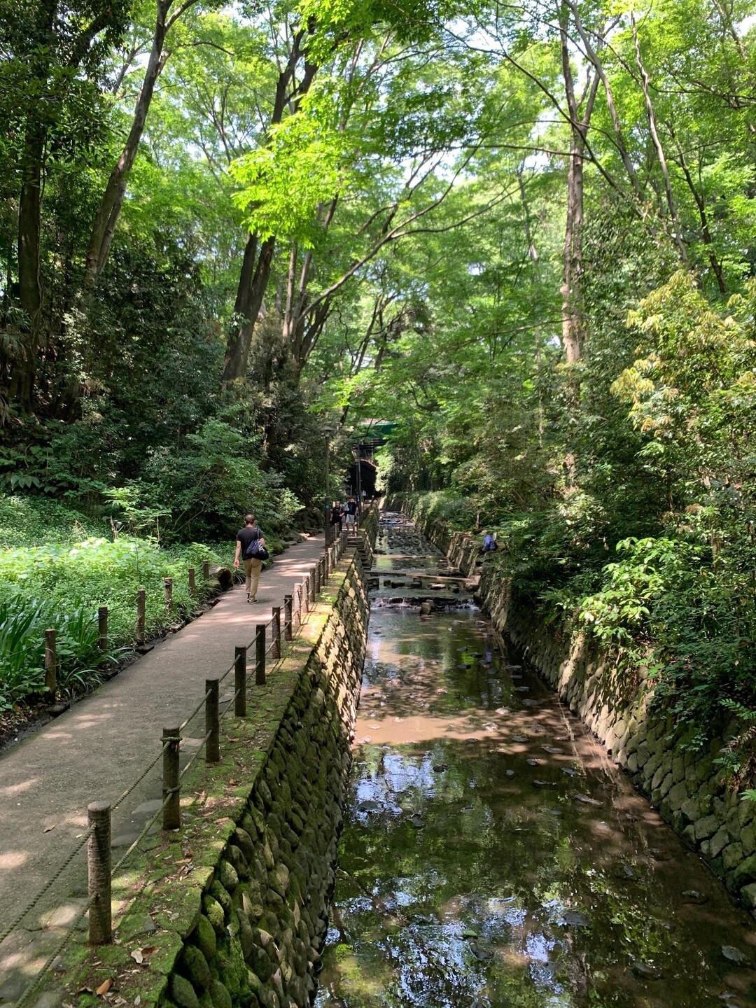 等々力渓谷街ラン10K / nonnonさんの川崎市の活動データ | YAMAP / ヤマップ