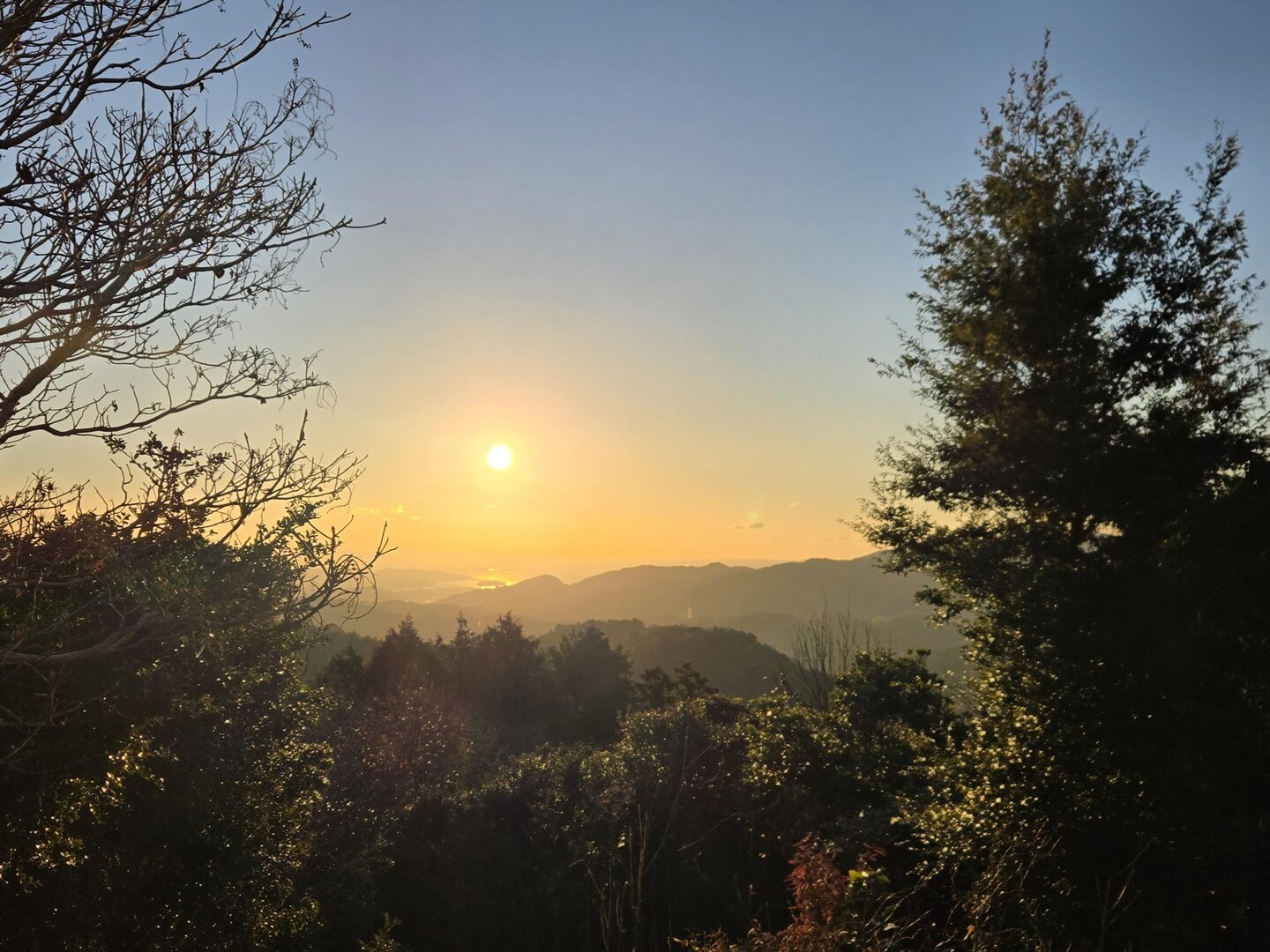 西尾茶臼山⛰️初12座周回 / yt_jim80さんの茶臼山・万灯山の活動データ | YAMAP / ヤマップ