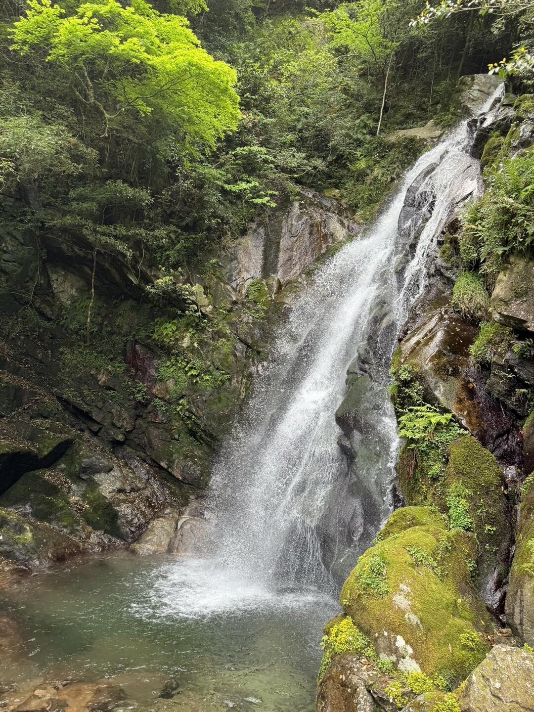 金山・坊主ヶ滝 / kenkenさんの脊振山・金山の活動データ | YAMAP / ヤマップ