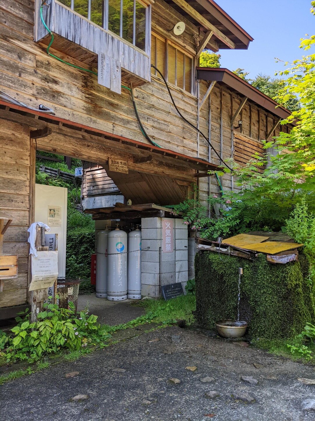 saiさんの投稿したフィールドメモ | YAMAP / ヤマップ