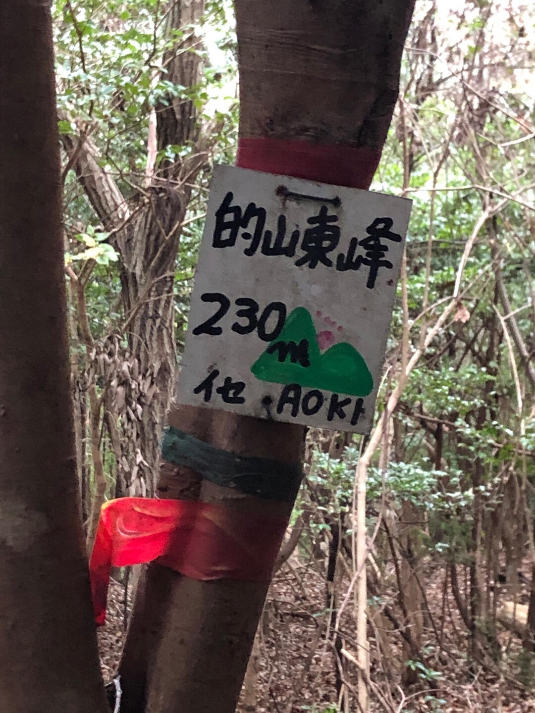 的山東峰 230m (低山巡り) 三重 度会町 / isisさんの国束山・大日山の活動データ | YAMAP / ヤマップ