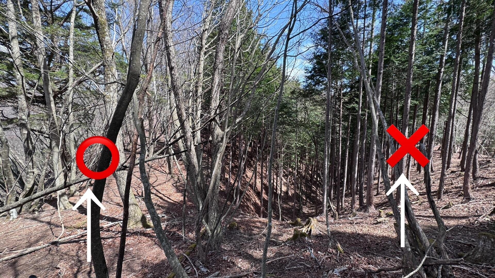 rainmanさんの投稿したフィールドメモ | YAMAP / ヤマップ