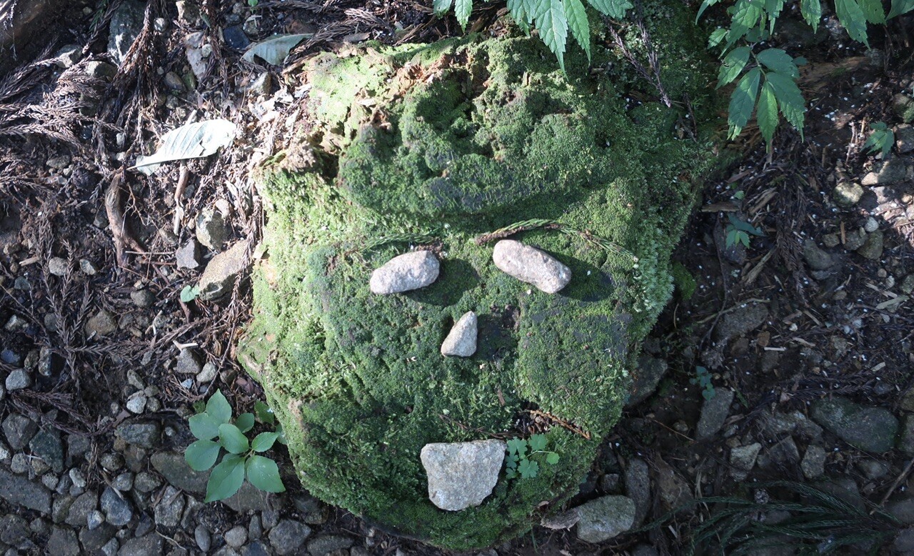 naoのページ | YAMAP / ヤマップ