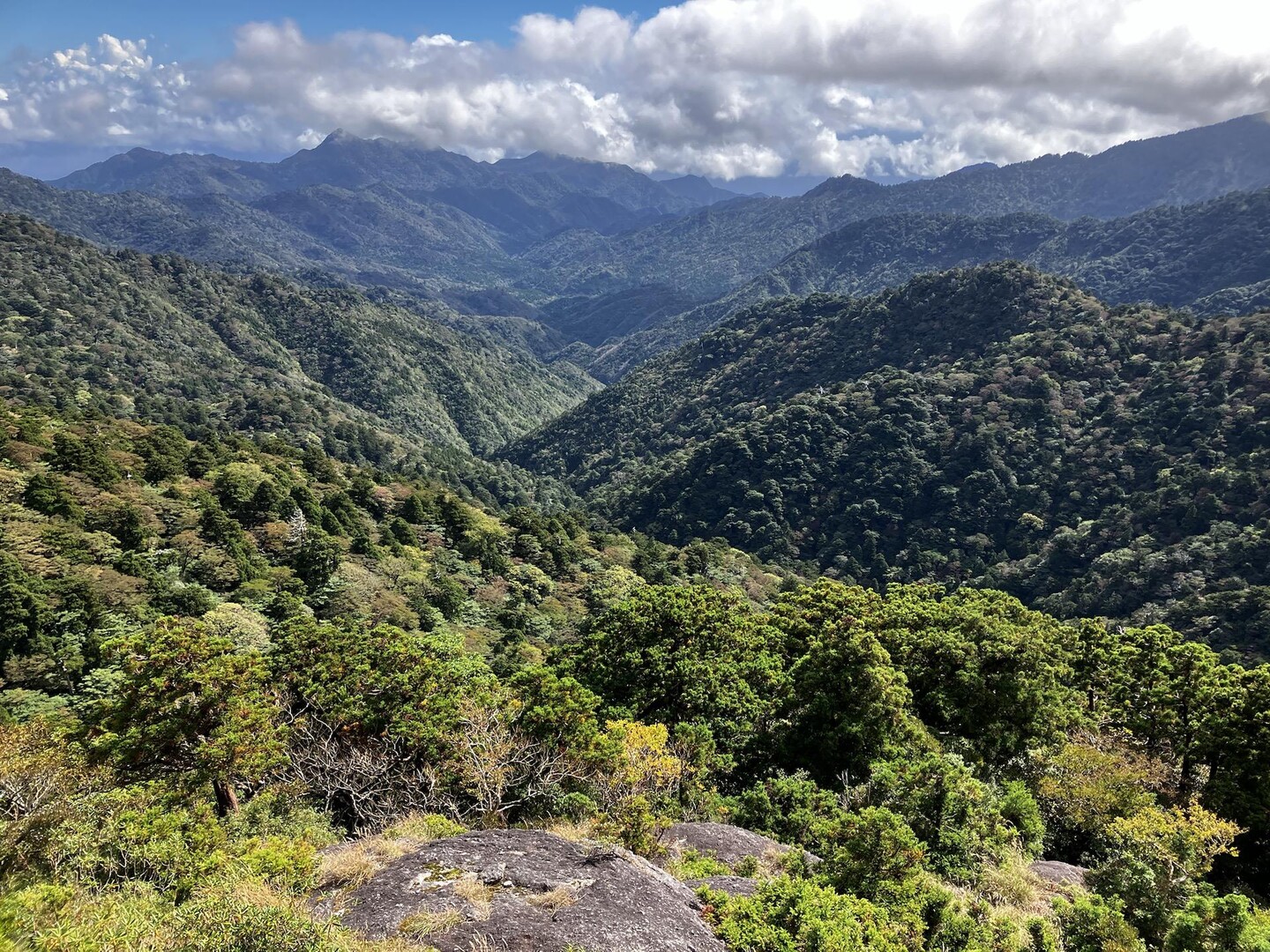 小高塚岳 / andoさんの屋久島・宮之浦岳の活動データ | YAMAP / ヤマップ