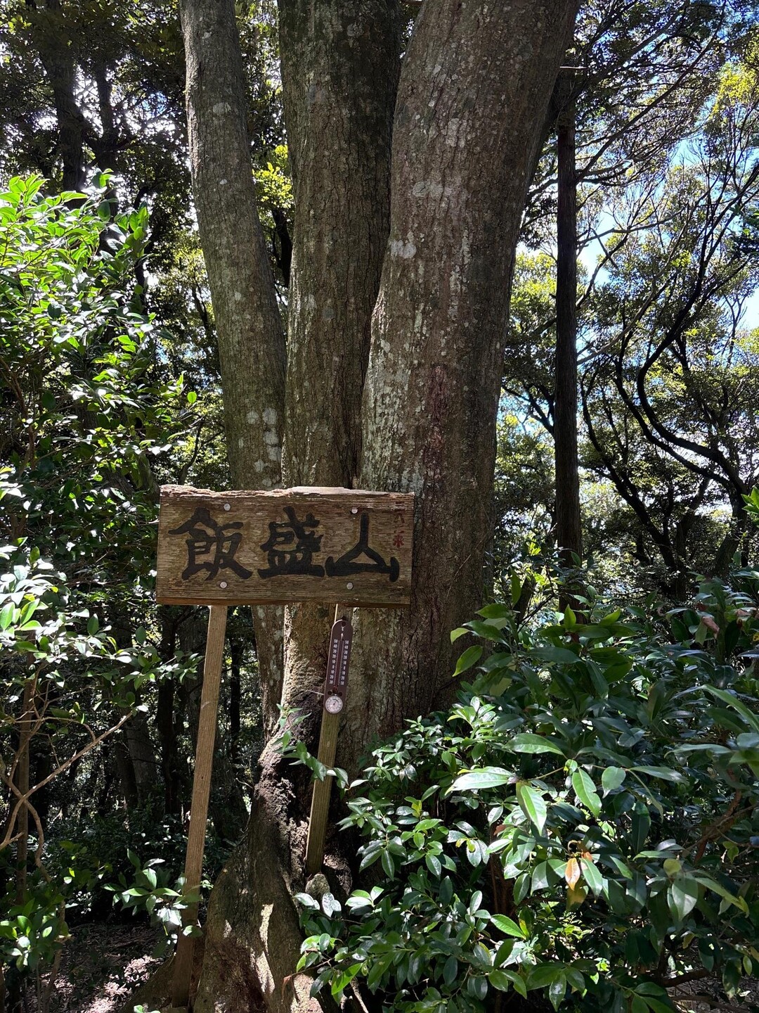 飯盛山・日向山 / yo_koさんの高祖山・飯盛山・叶岳の活動データ | YAMAP / ヤマップ
