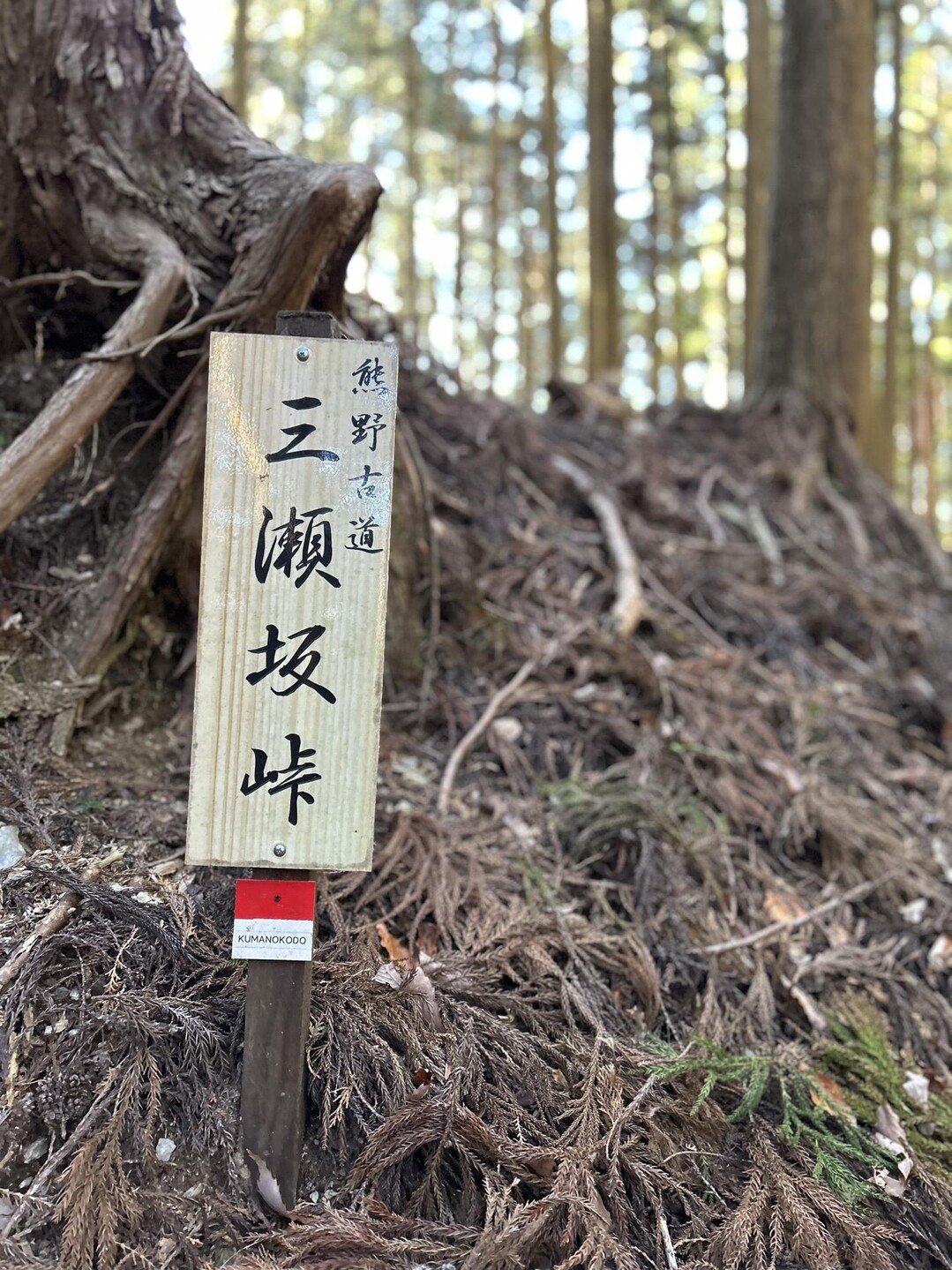 熊野古道伊勢路 川添駅〜梅ヶ谷駅 / BPさんのウォーキングの活動データ | YAMAP / ヤマップ