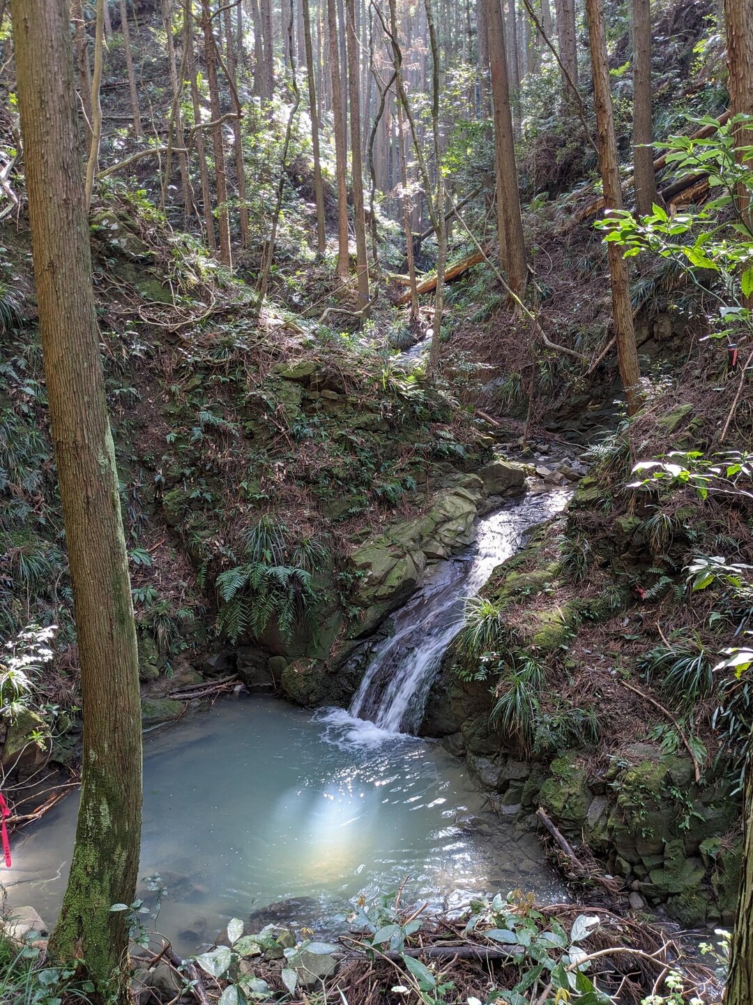 獅子ヶ鼻（岩室山） / so-sukeさんの獅子ヶ鼻公園の活動データ | YAMAP / ヤマップ