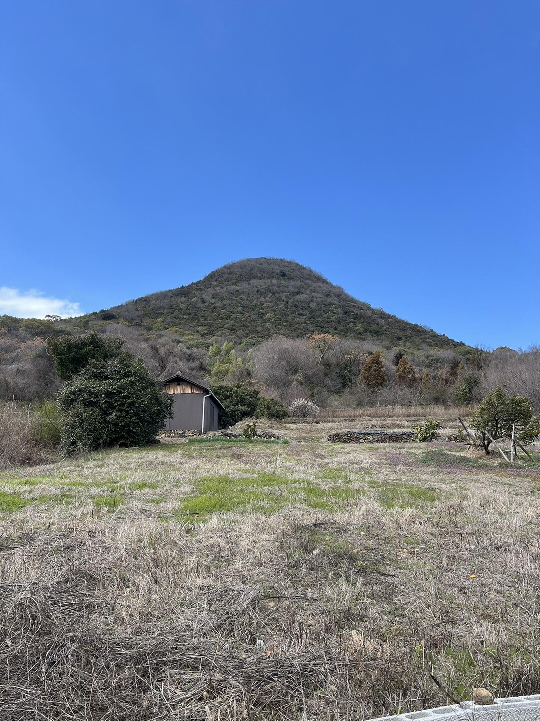 おむすび山？ピラミッド？ / bibiさんの飯野山（讃岐富士）の活動データ | YAMAP / ヤマップ