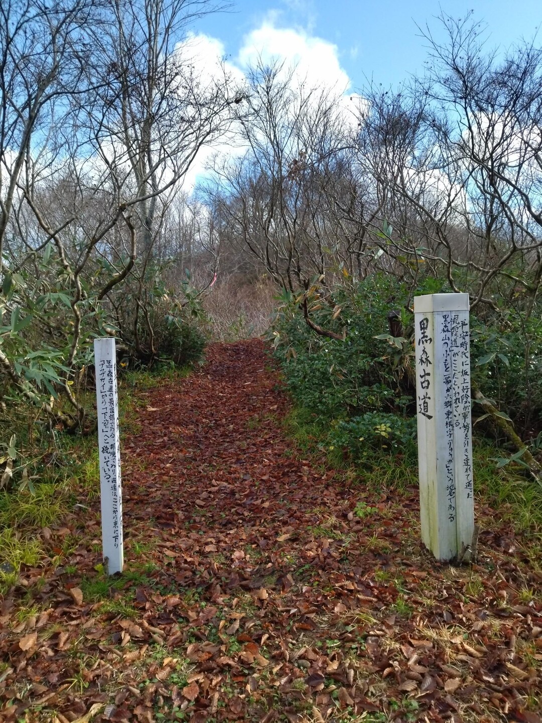 御嶽山・黒森山 / のん（nrh_bm）さんの真昼岳・女神山・音動岳・黒森山の活動データ | YAMAP / ヤマップ