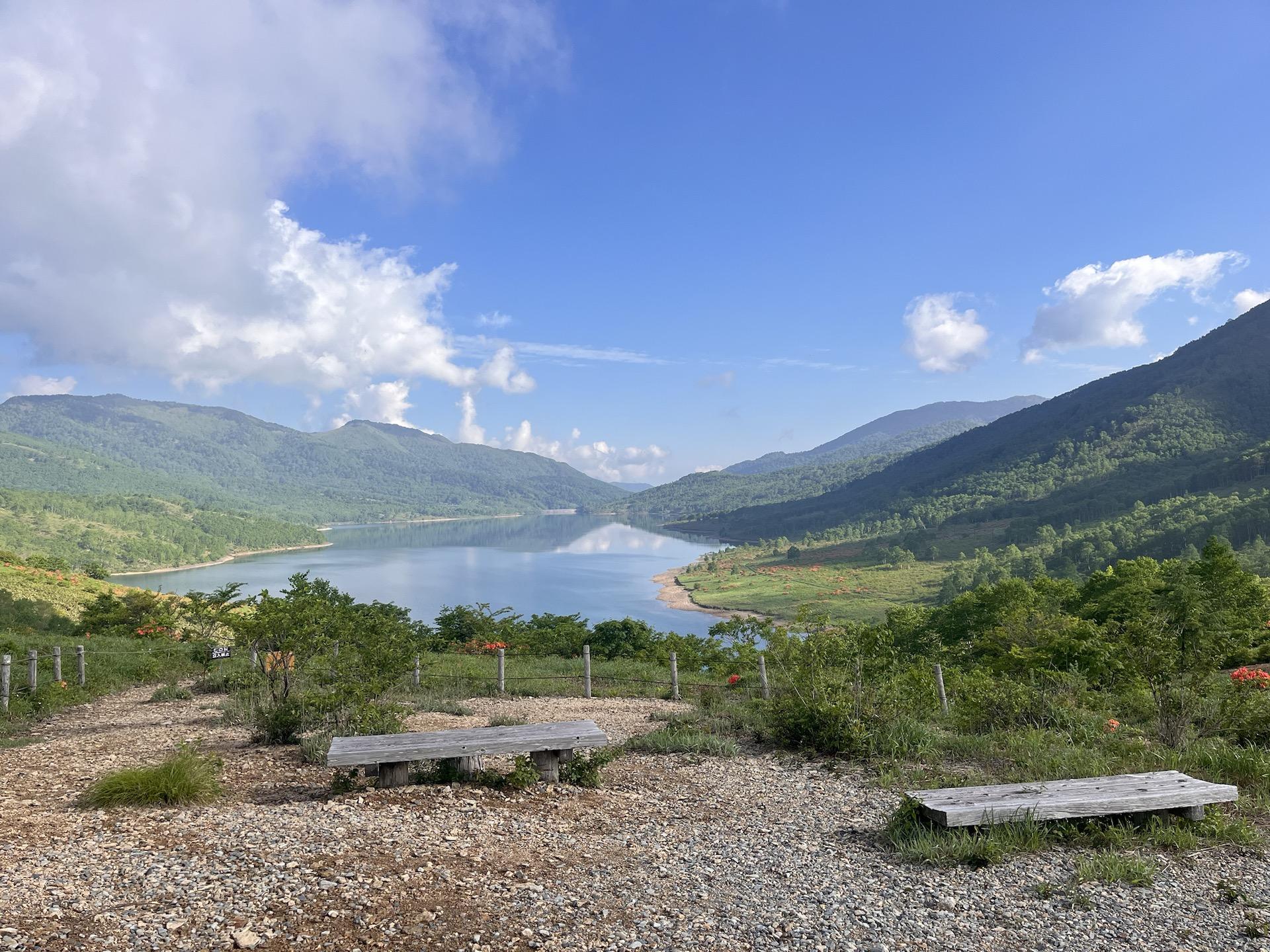 イカイワの頭まで花探しに🐾 / hachacha-umemeさんの白砂山・堂岩山・八間山の活動データ | YAMAP / ヤマップ