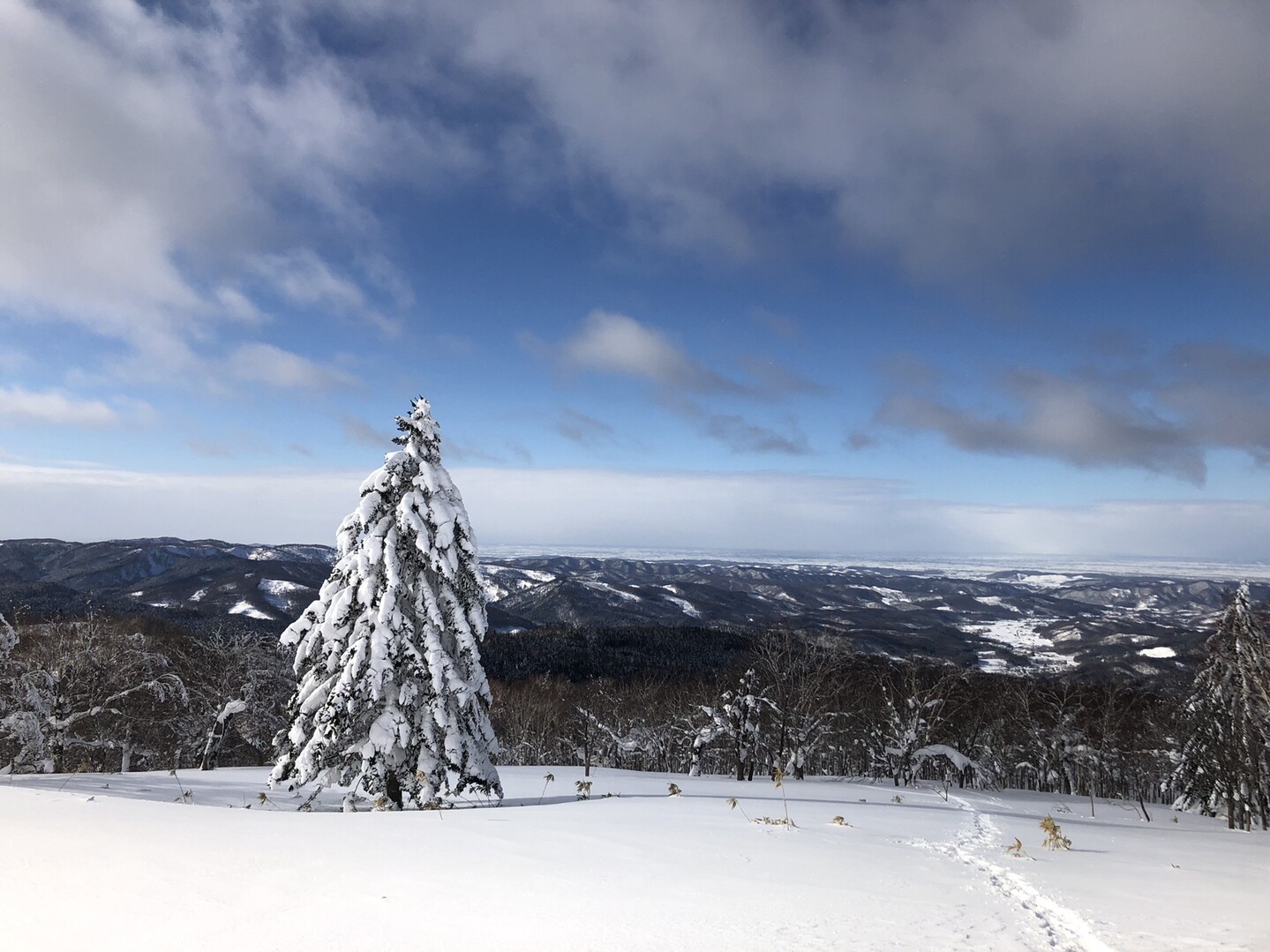 幌向岳 羊蹄山の動画です https:... / taka@wさんのモーメント | YAMAP / ヤマップ