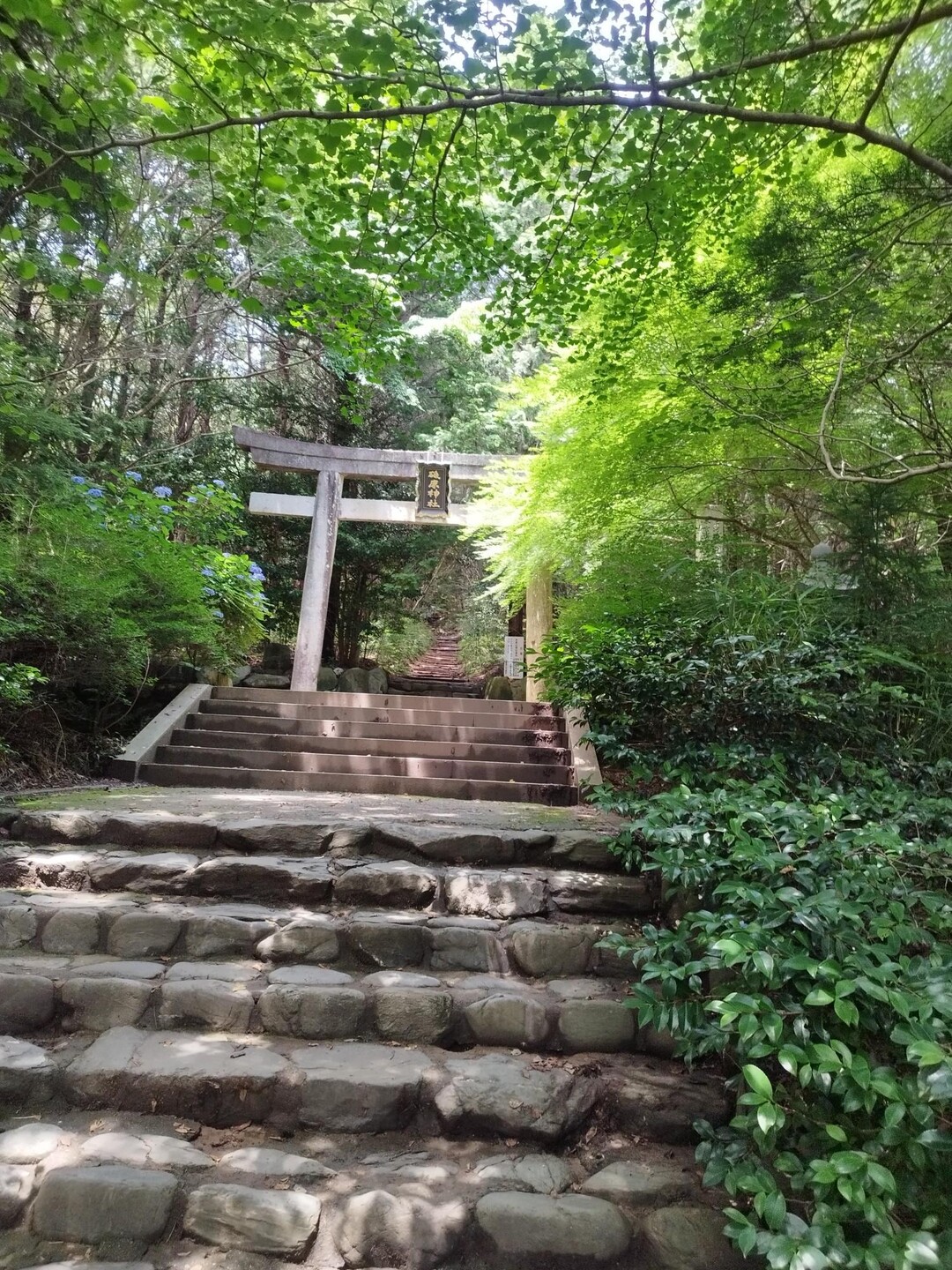 本宮山往復ビンタ / s.uedaさんの本宮山・大日山・風頭山の活動データ | YAMAP / ヤマップ